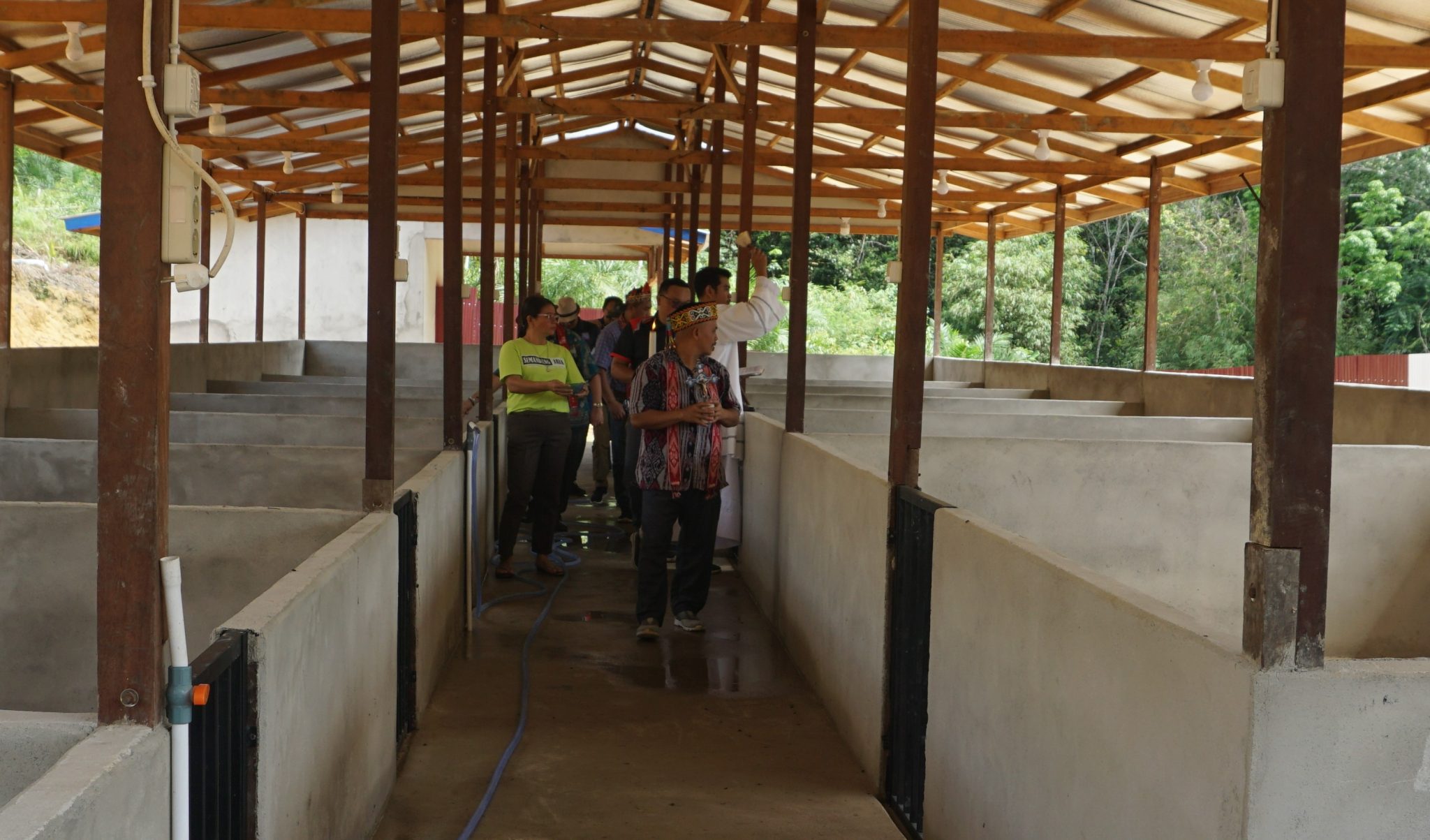 PERESMIAN DEMPLOT PETERNAKAN BABI MILIK CUSJ